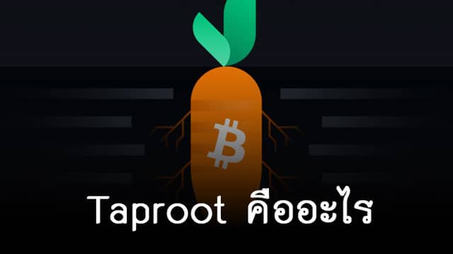 Taproot คืออะไร CoinEfin: PlayToEarn Blockchain Games List